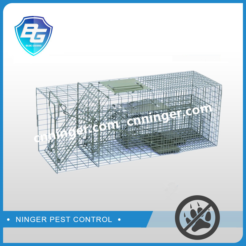 Foldable Medium & Large Pest Cage Trap Supplier Factory Manufacturer