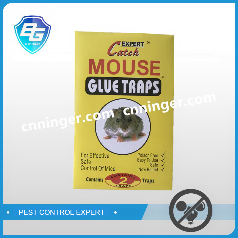 Mouse Glue Board,Flat glue traps for mice&insects-Folding---NRTG006-1